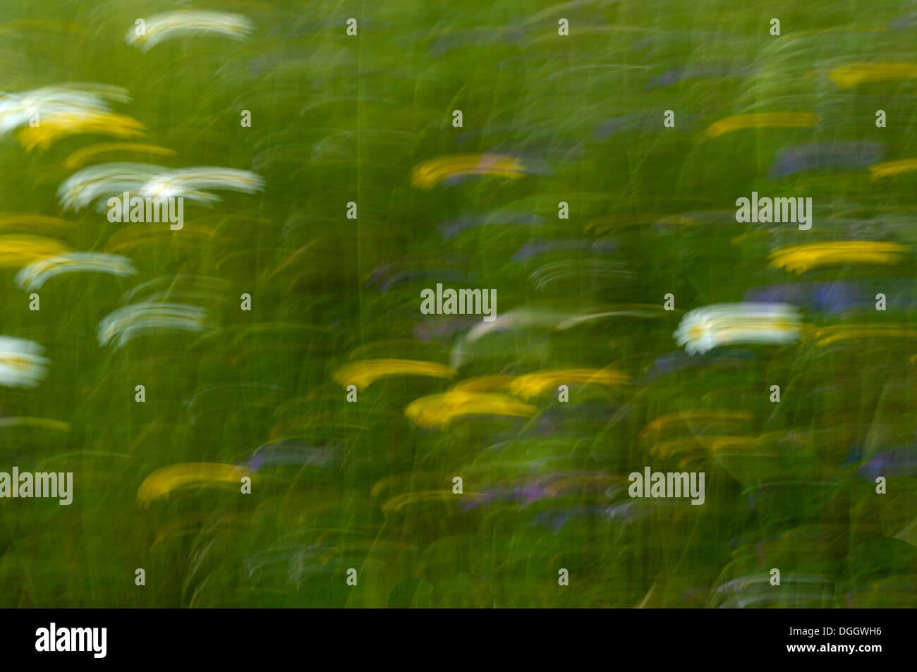 Color and movement hi-res stock photography and images - Alamy