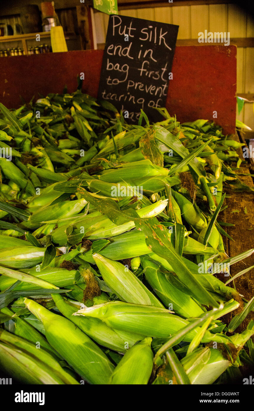 Dekalb corn hi-res stock photography and images - Alamy