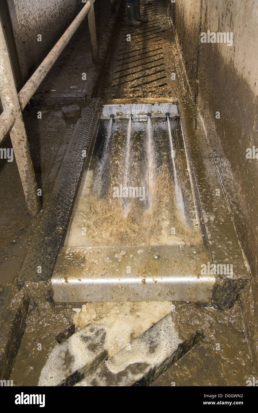 Dairy farming automatic washing and filling formaldehyde footbath used ...