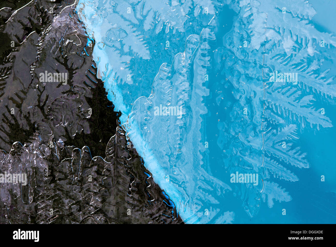 Frozen Ice patterns isolated on blue and black backgrounds Stock Photo ...