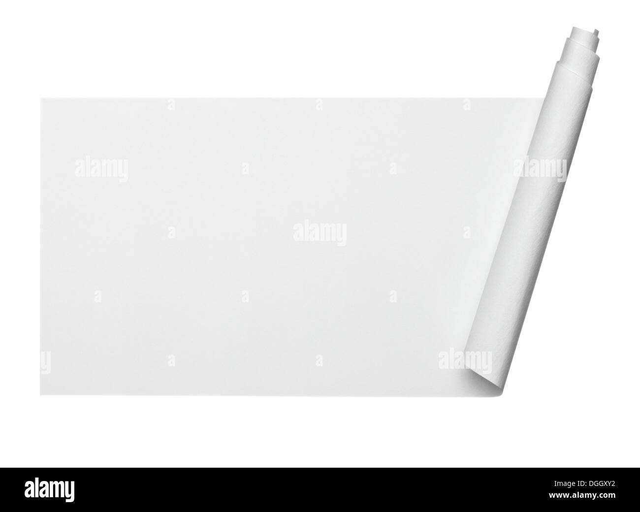 Old paper rolled banner hi-res stock photography and images - Alamy