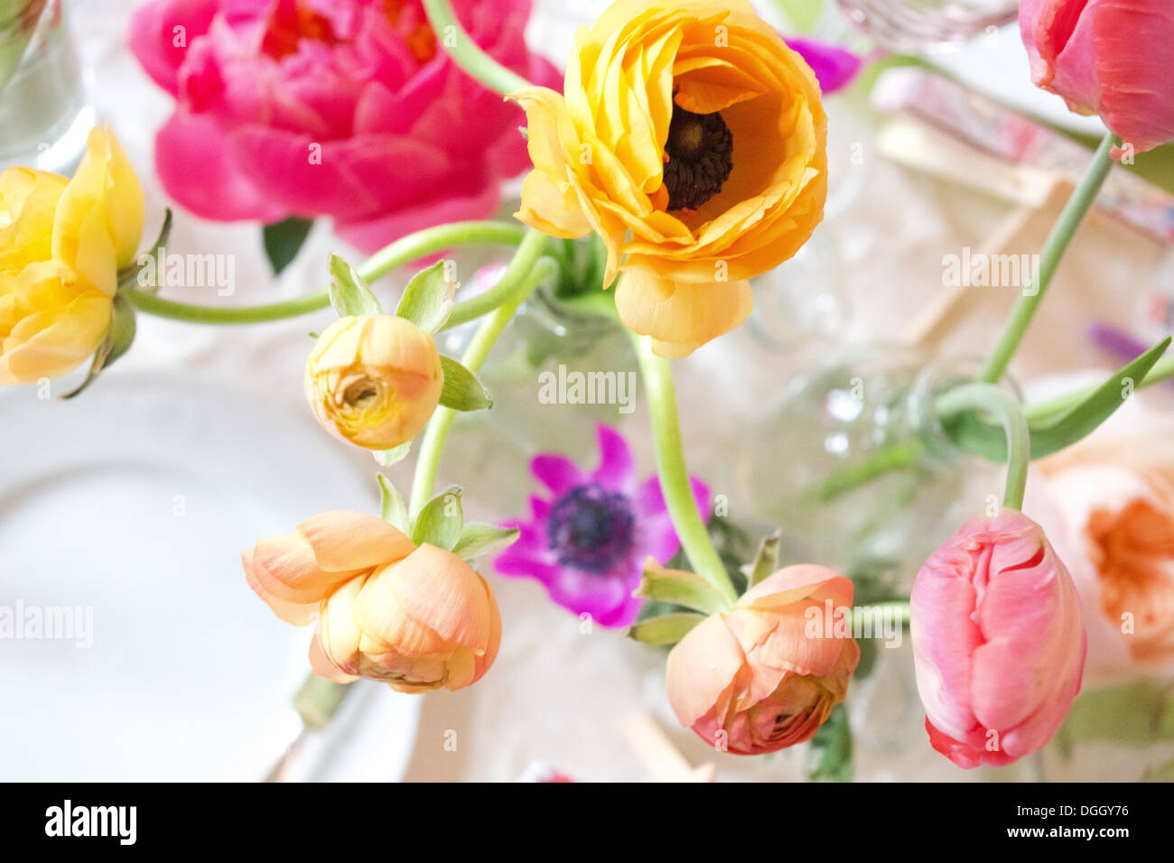 Stem table hi-res stock photography and images - Alamy