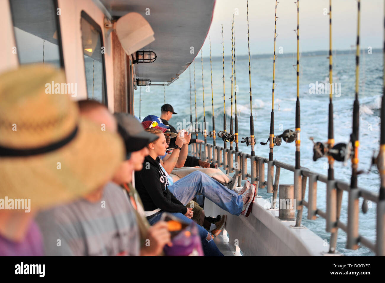 Sea shaw hi-res stock photography and images - Alamy