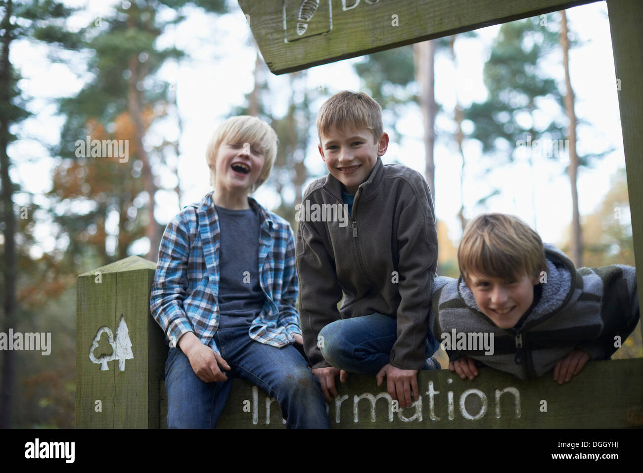 Three boys climbing on sign in forest Stock Photo - Alamy