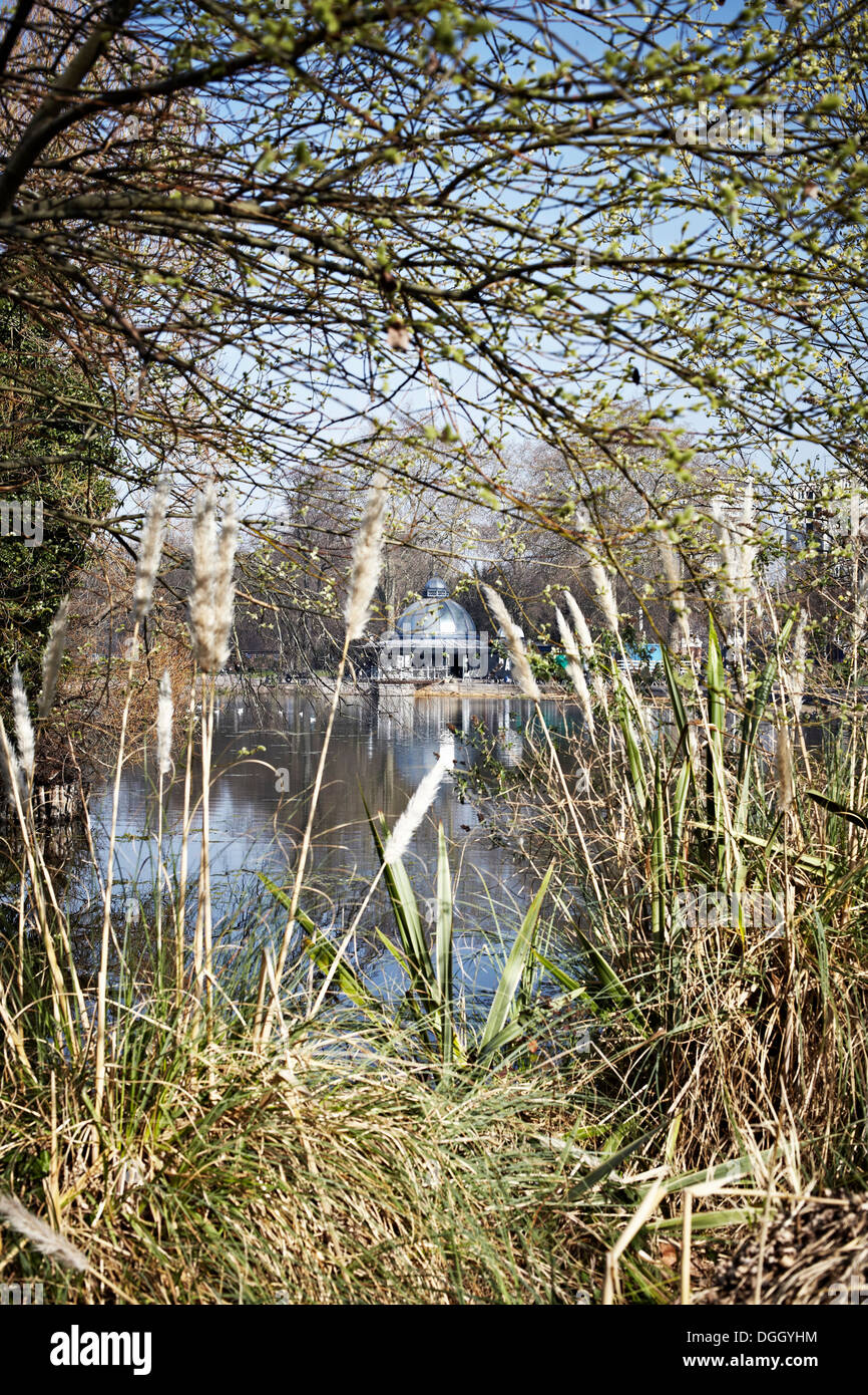 Pond and grasses, London, England, UK Stock Photo - Alamy