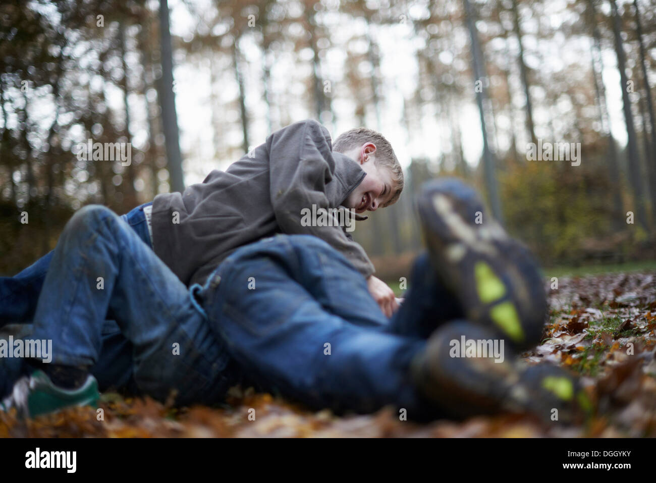 Boys play fighting on forest floor Stock Photo - Alamy