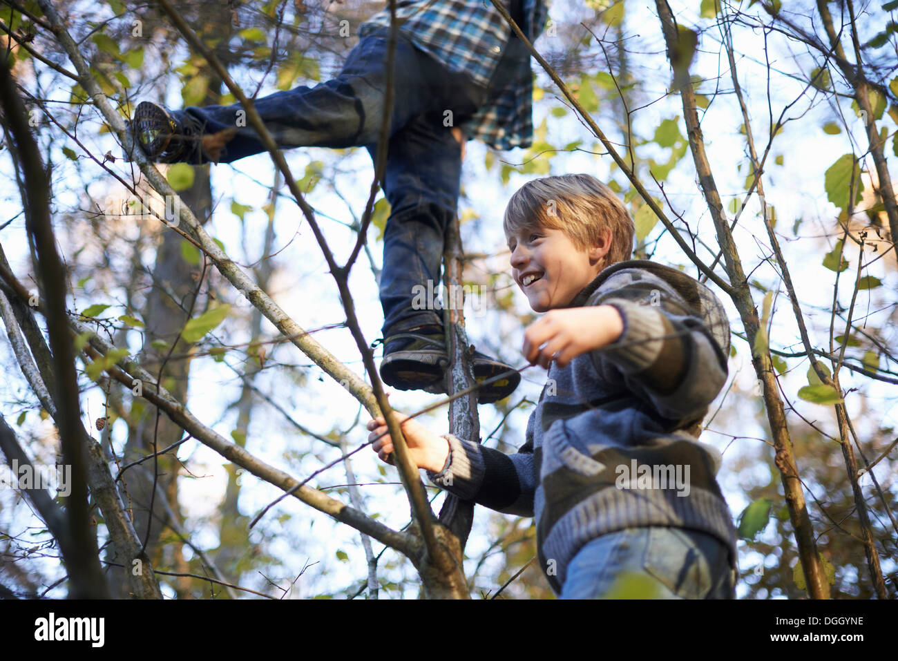 Two boys climbing tree hi-res stock photography and images - Alamy