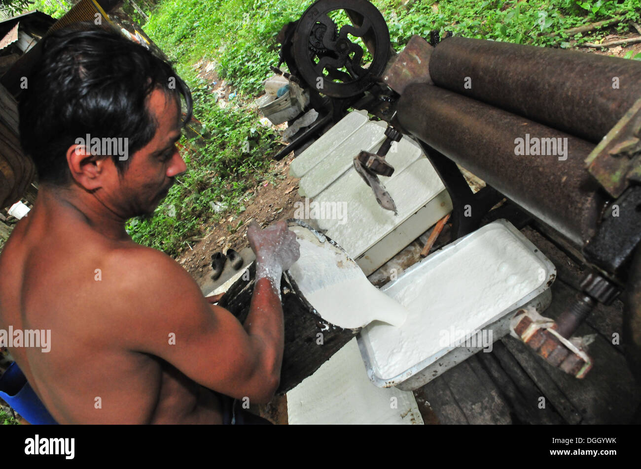 The production process of natural rubber in Thailand Stock Photo - Alamy