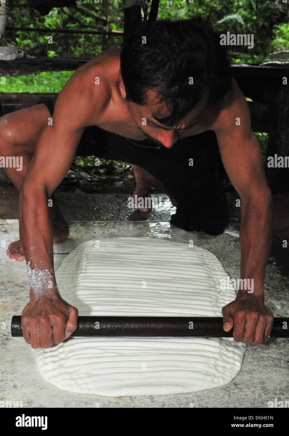 The production process of natural rubber in Thailand Stock Photo - Alamy