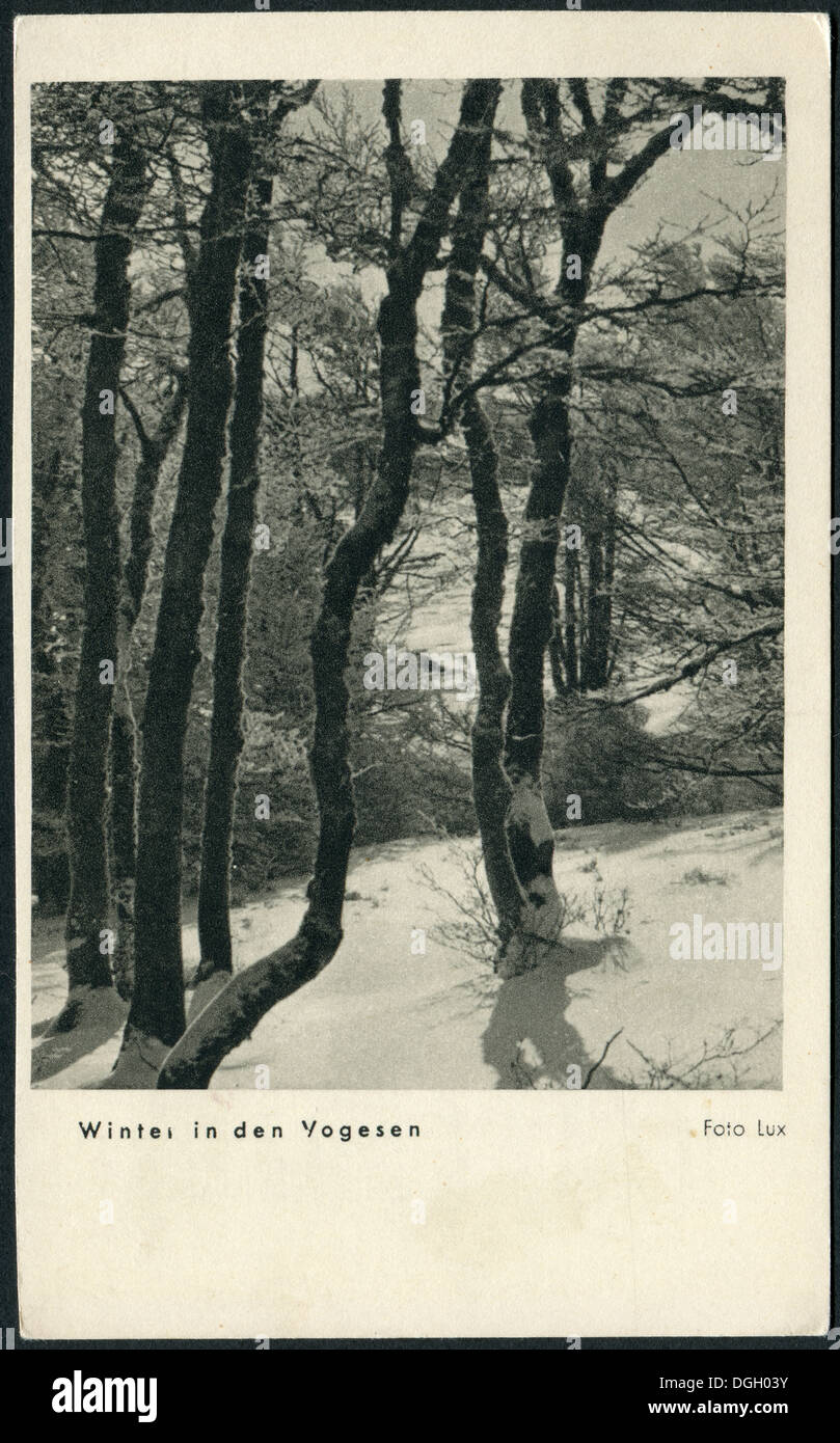 Vintage postcard. Winter in the Vosges Mountains Stock Photo - Alamy