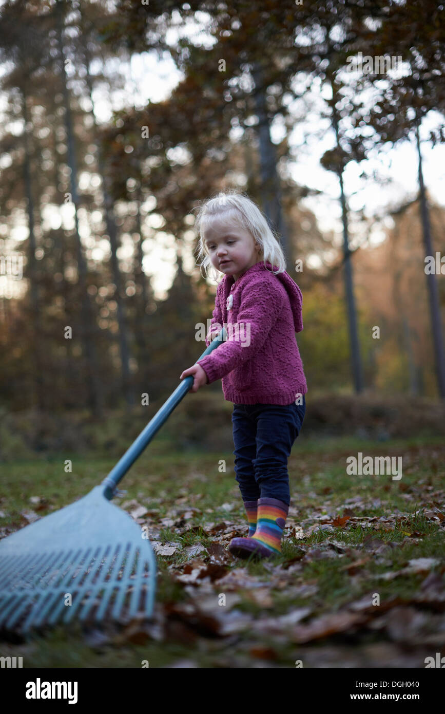 Girl raking leaves in forest Stock Photo - Alamy
