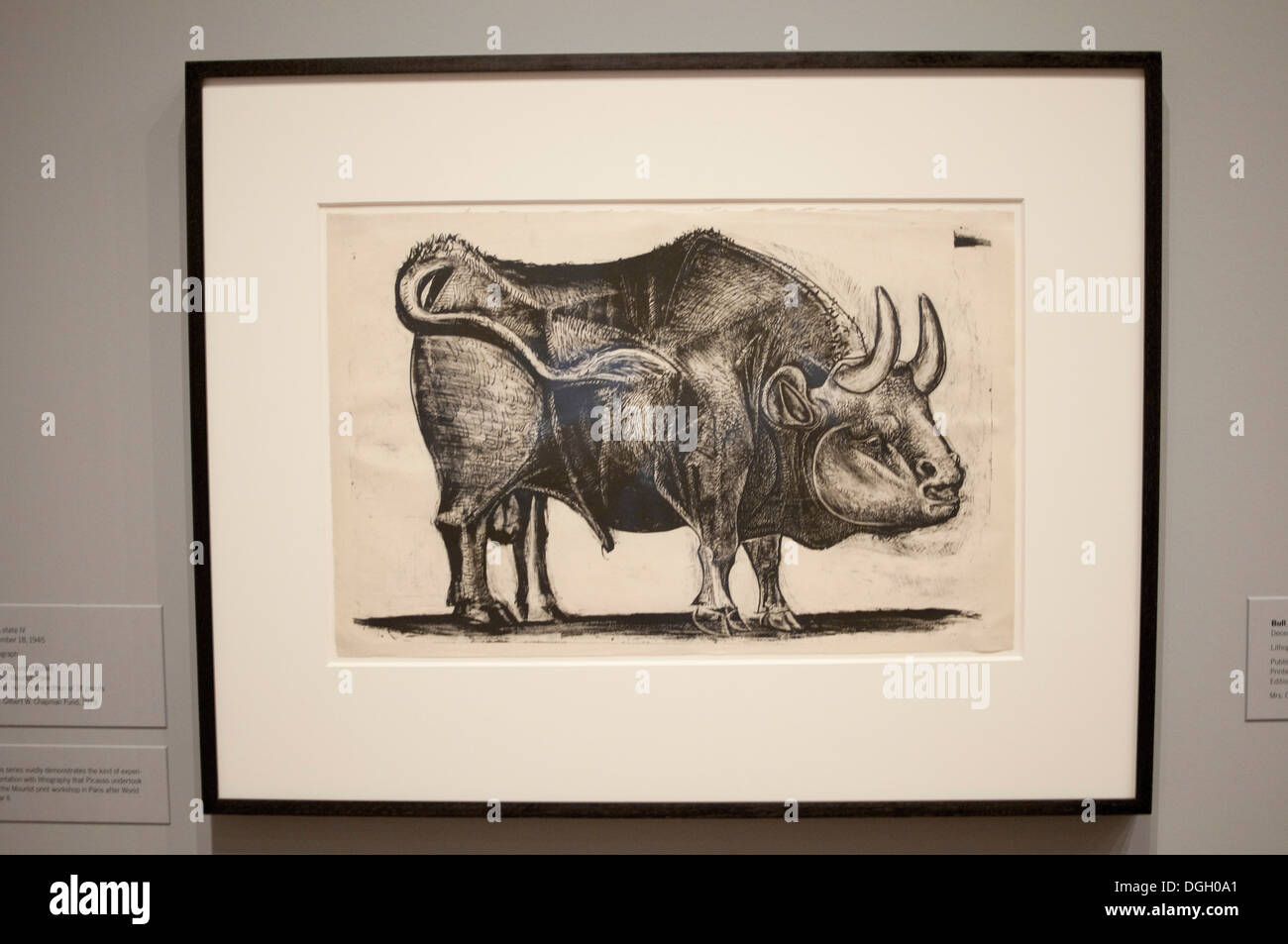 Animal drawing moma hi-res stock photography and images - Alamy