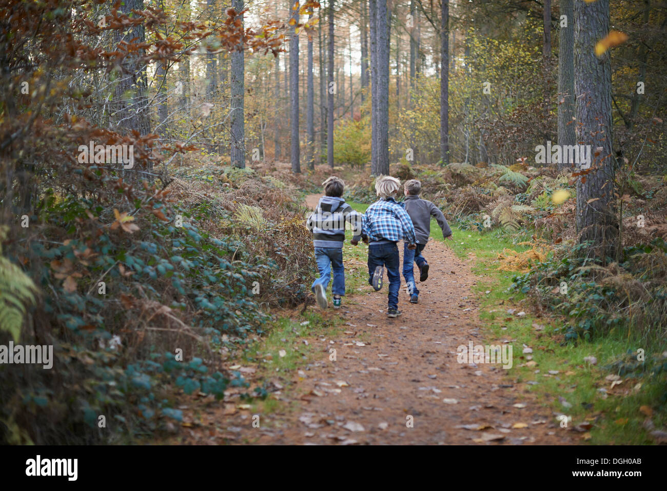 Boys running through forest hi-res stock photography and images - Alamy
