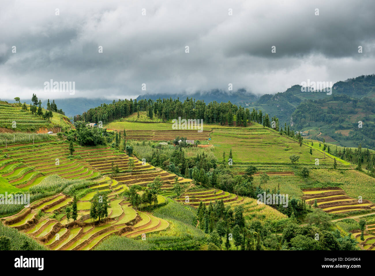 Landscape of Bac Ha , Lao Cai, Vietnam Stock Photo - Alamy