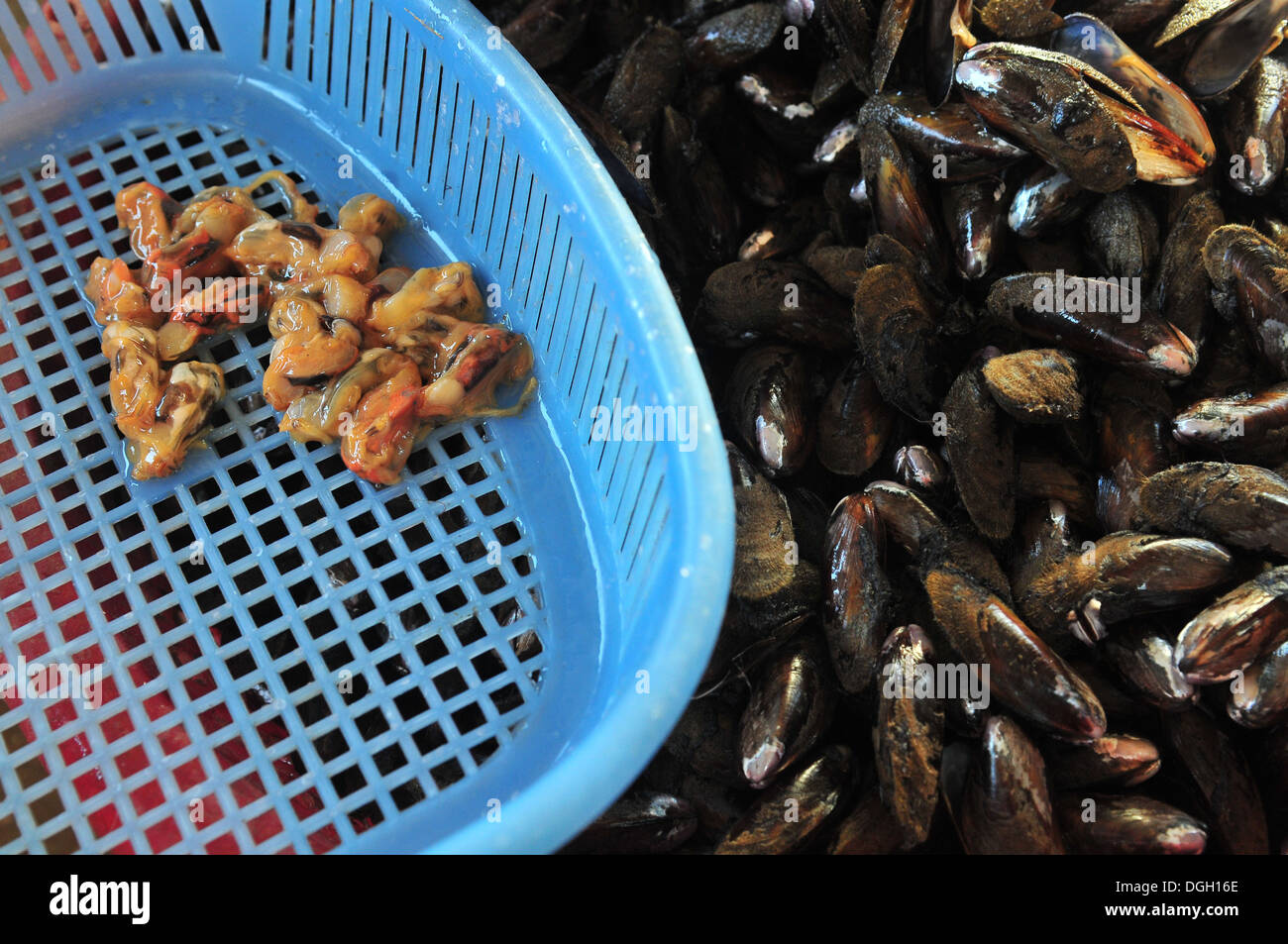 Fishery processing hi-res stock photography and images - Alamy
