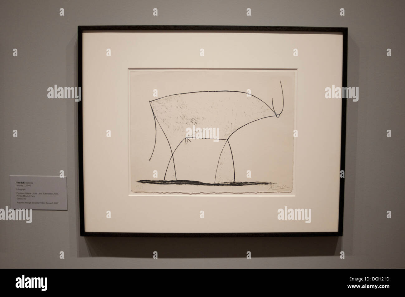 Animal drawing moma hi-res stock photography and images - Alamy