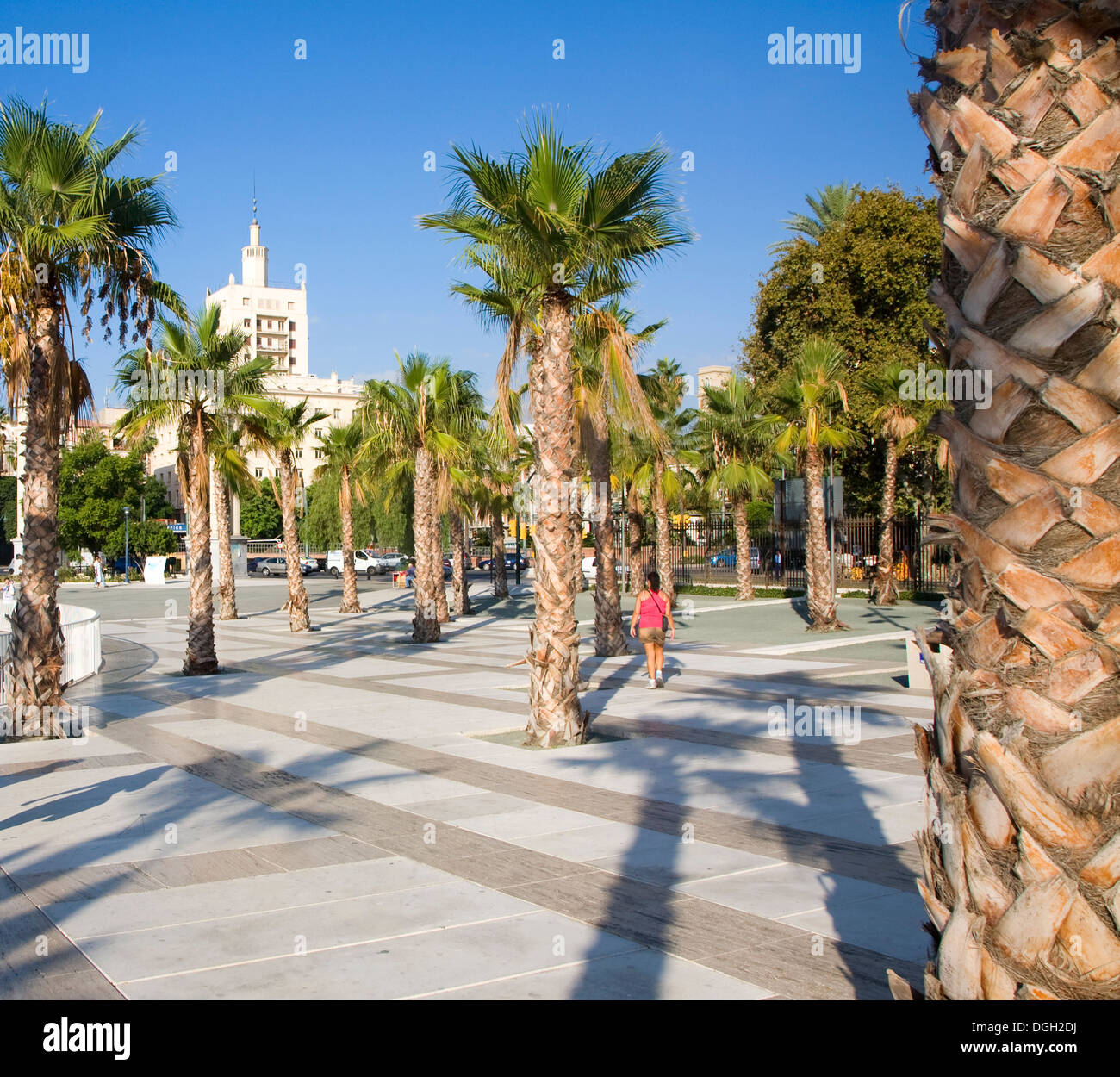Tree cast shadow hi-res stock photography and images - Alamy