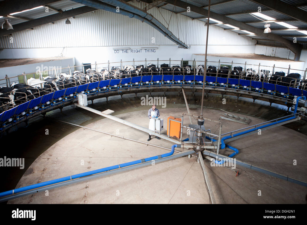 Milking machine person hi-res stock photography and images - Alamy