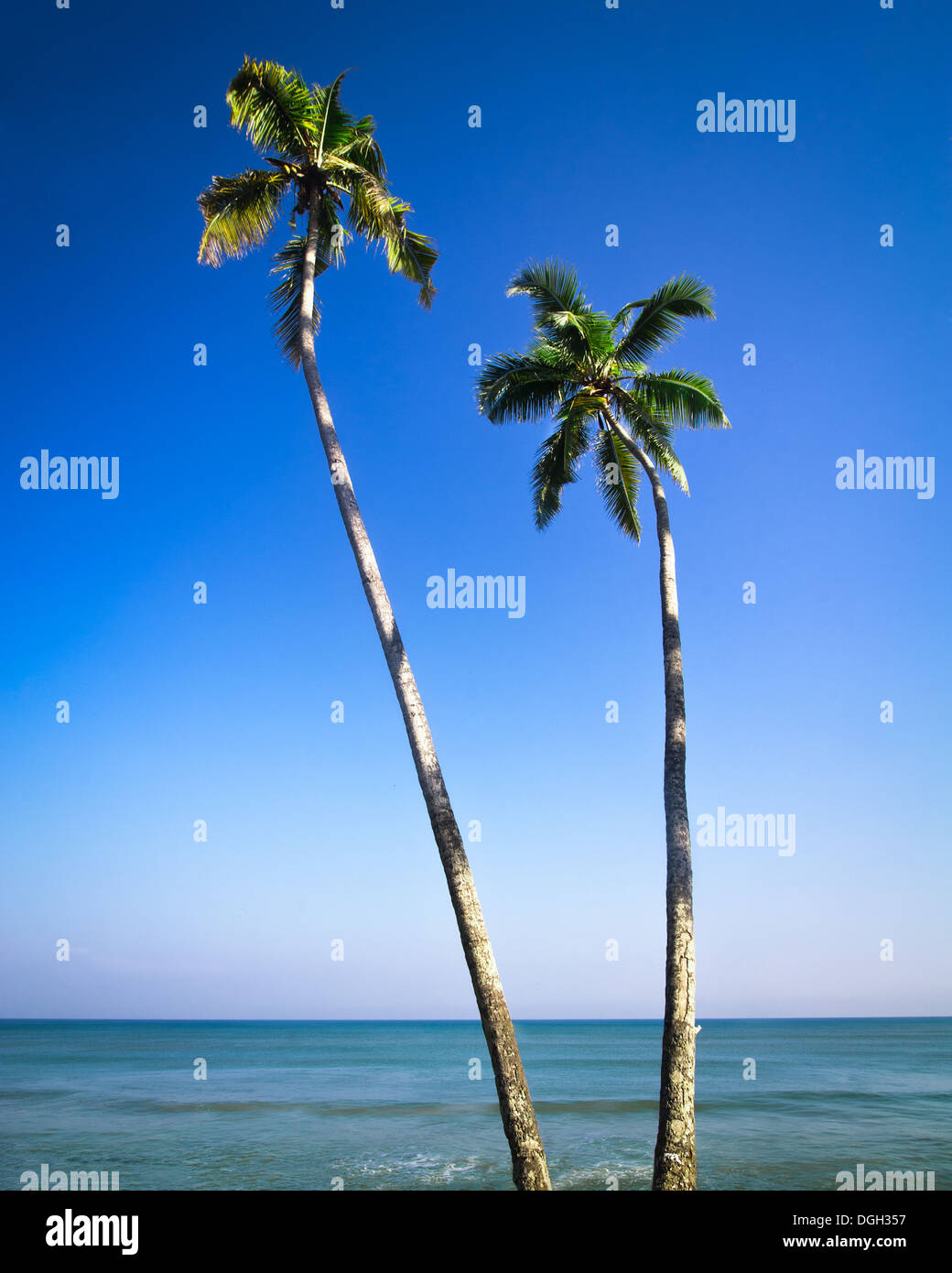 Ocean landscape tropical beach hi-res stock photography and images - Alamy