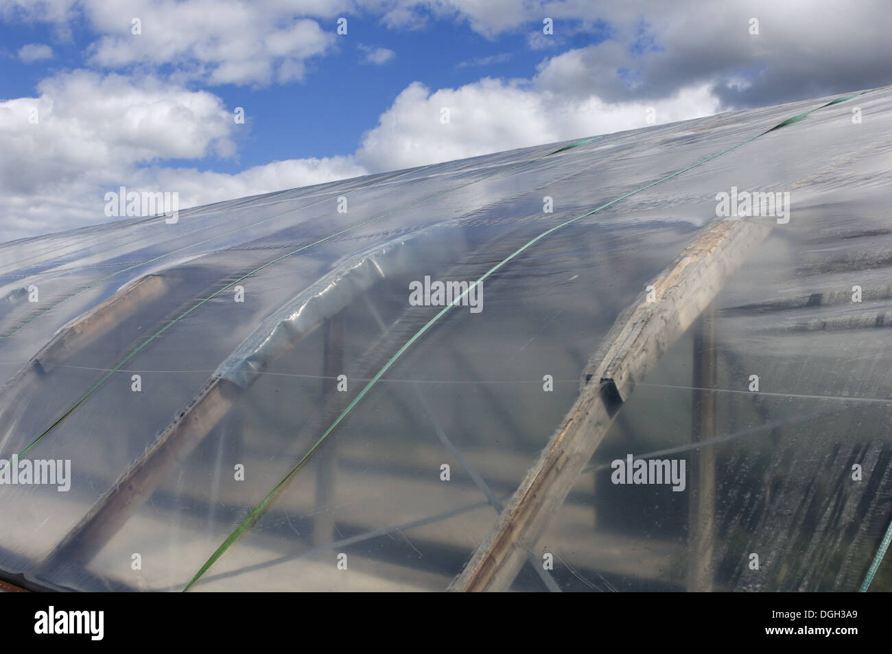 Exterior of horticultural polytunnel, Tierp, Uppsala, Sweden Stock ...