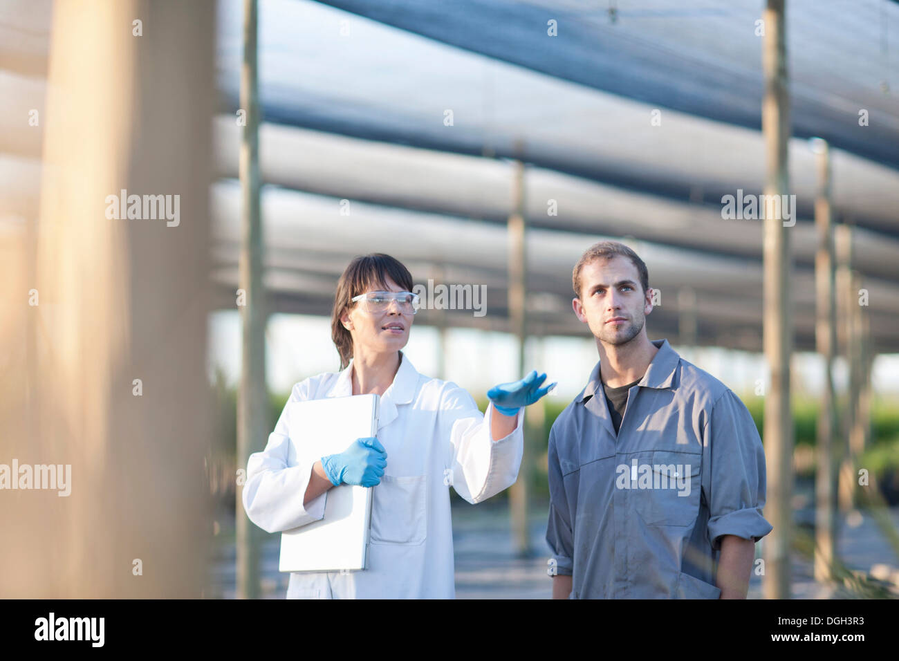 Scientist worker plant nursery hi-res stock photography and images - Alamy