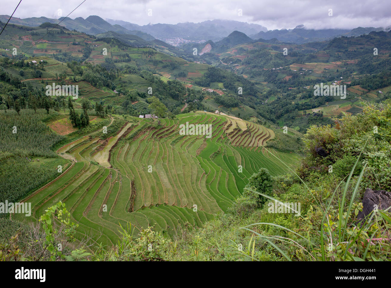 Landscape of Bac Ha , Lao Cai, Vietnam Stock Photo - Alamy