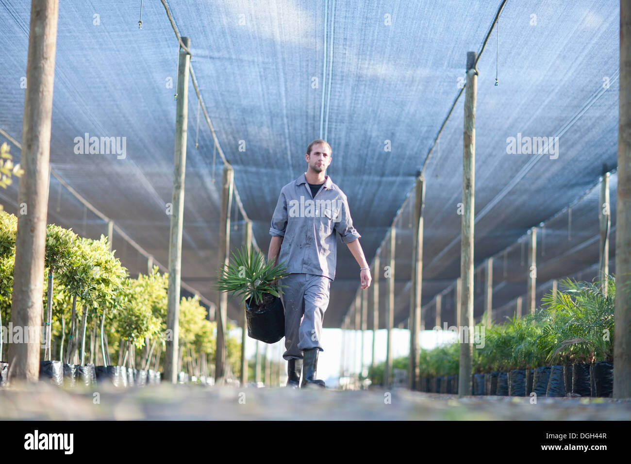 Nursery worker hi-res stock photography and images - Alamy
