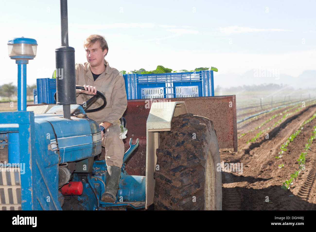 Young man driving tractor Stock Photo - Alamy