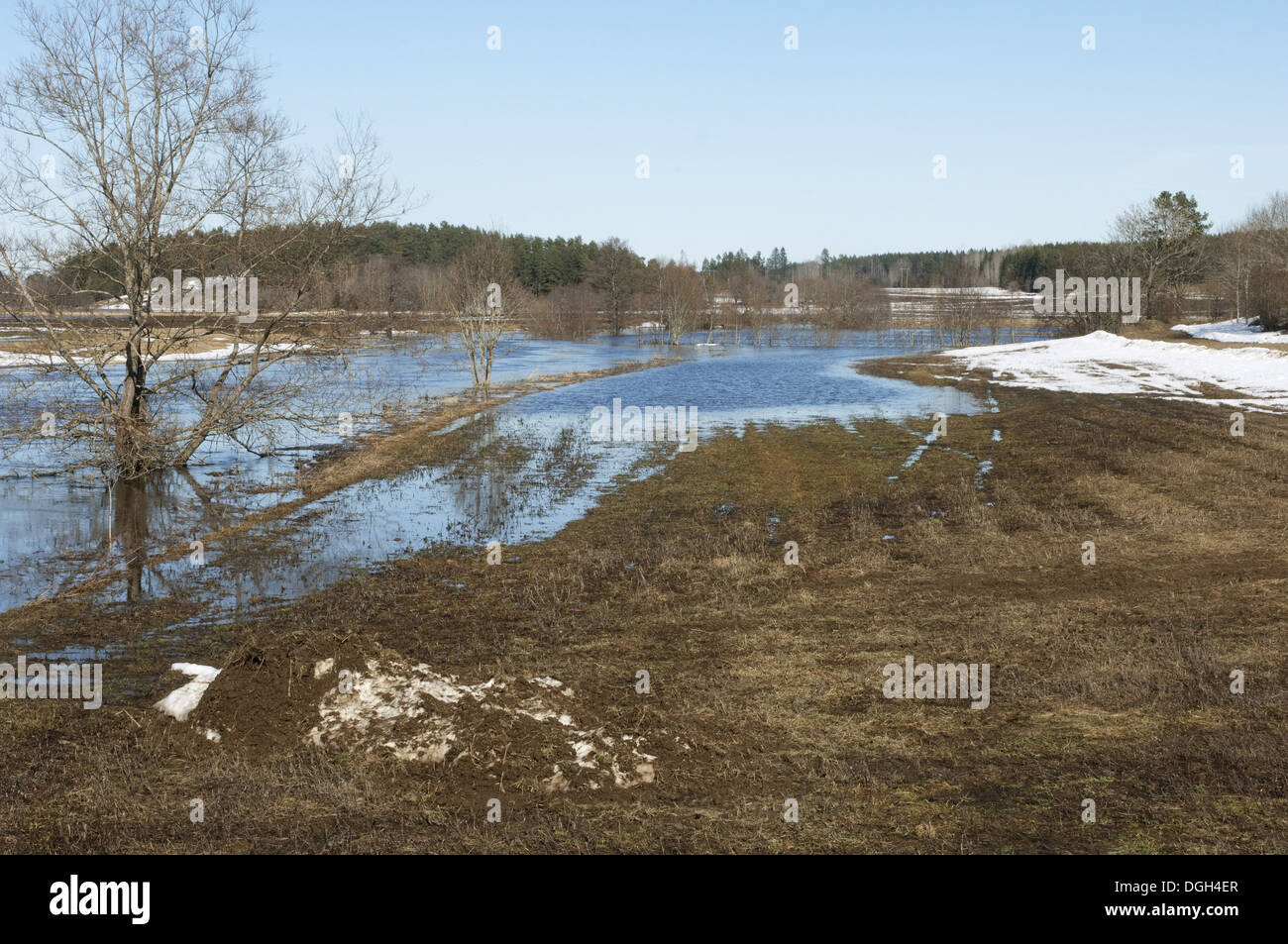 Field flooded from small river, Sweden, winter Stock Photo - Alamy