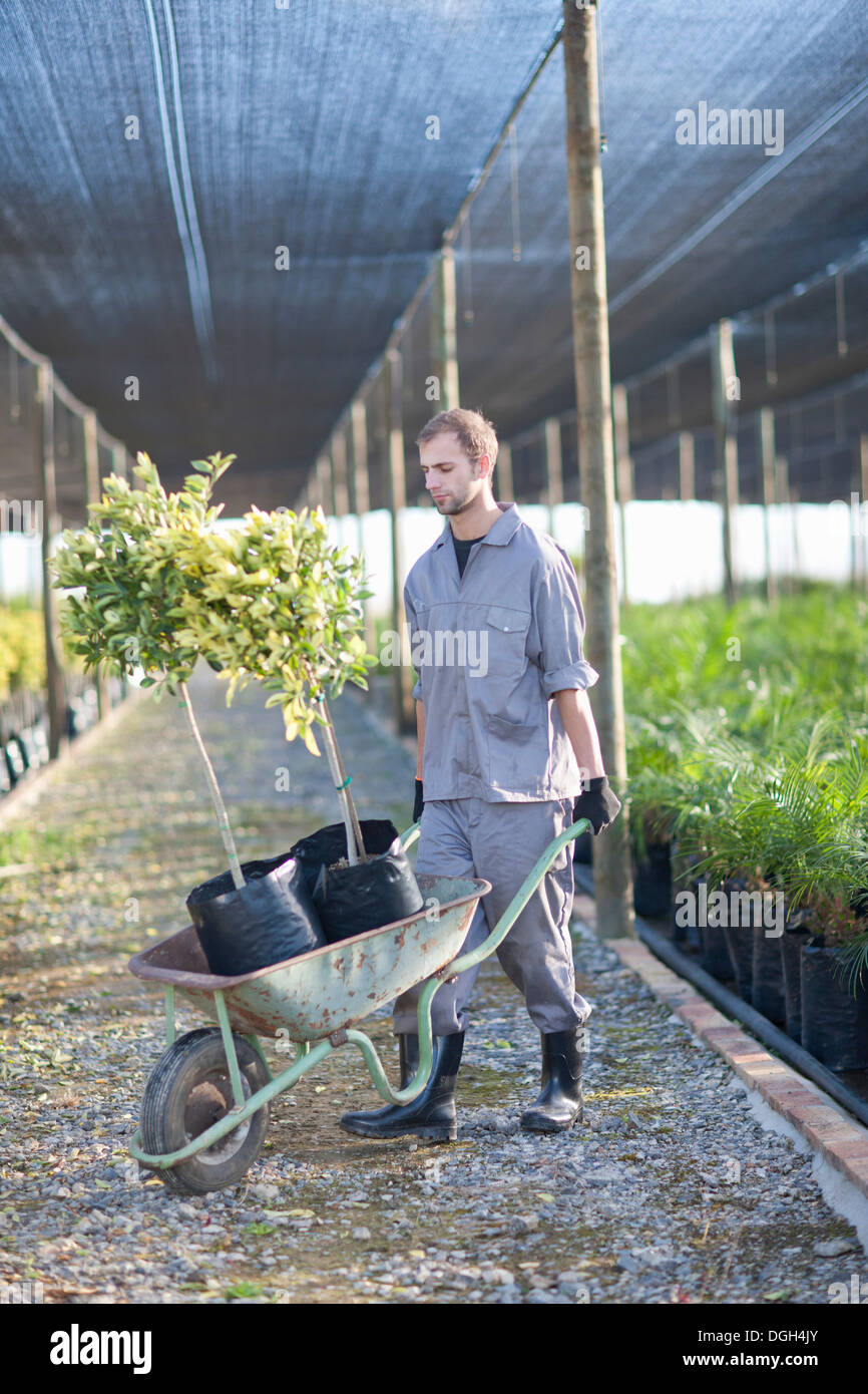 Nursery worker hi-res stock photography and images - Alamy