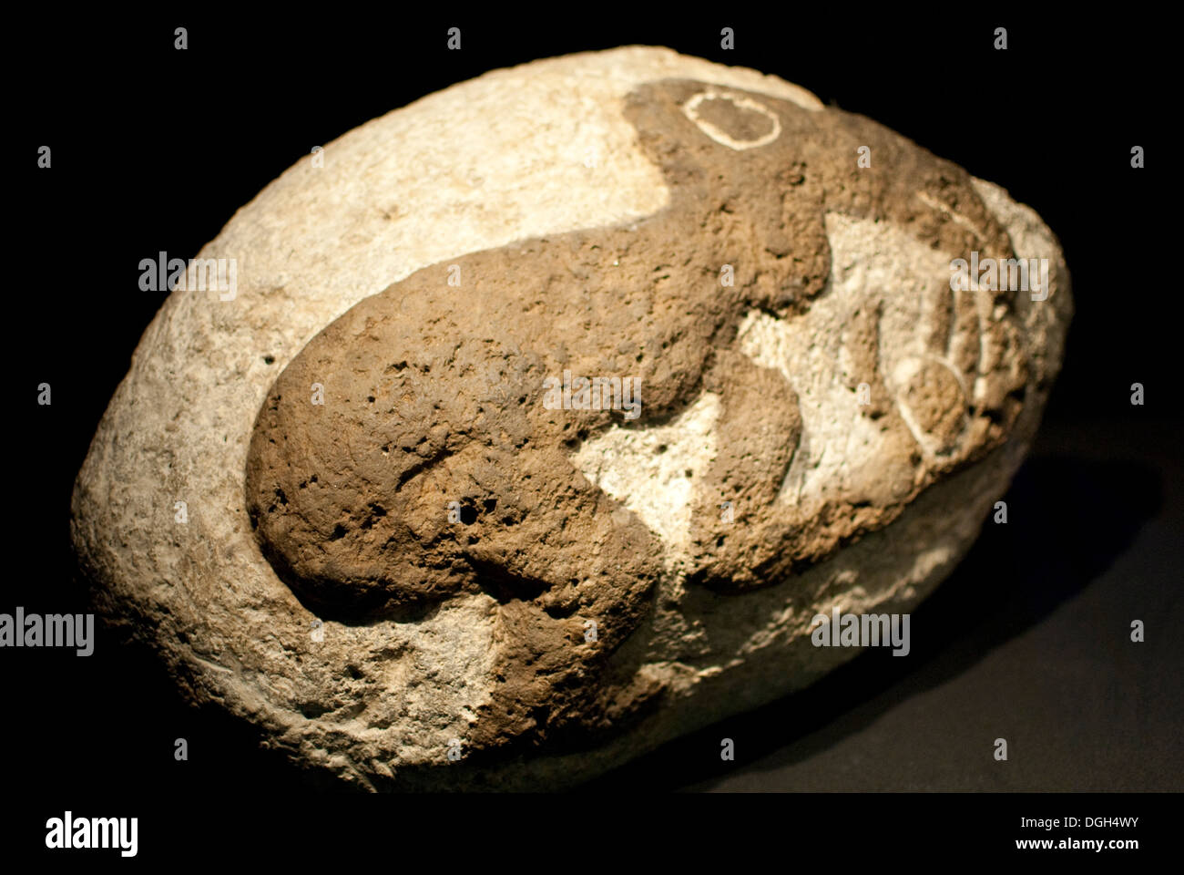 Birdman boulder. From Orongo, Easter Island (Rapa Nui), Polynesia ...