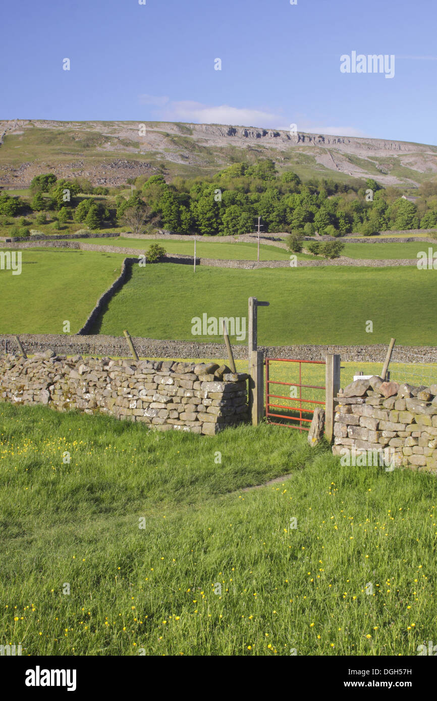 View of wildflower meadows gate footpath sign drystone wall and ...