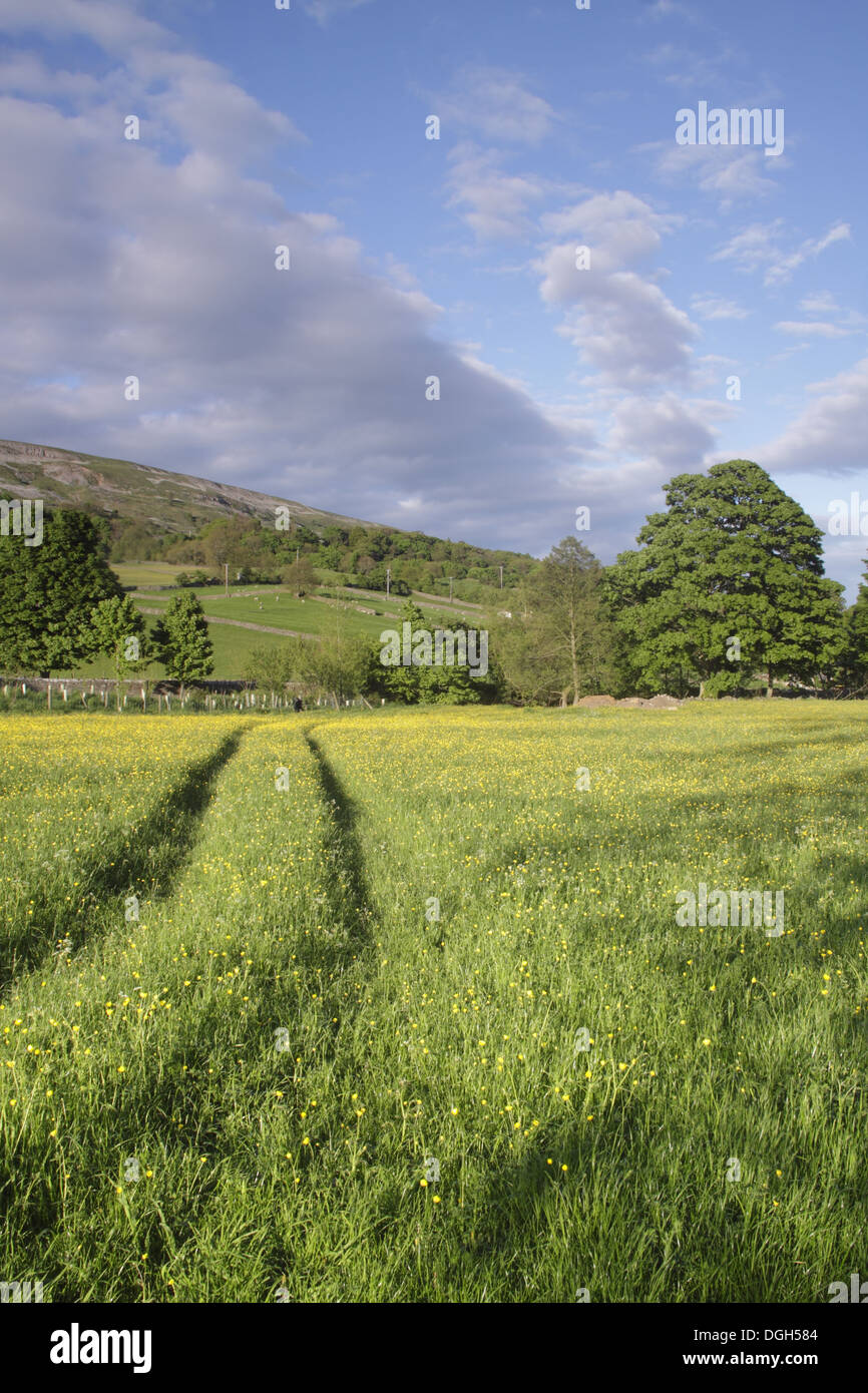 Swaledale hillsides hi-res stock photography and images - Alamy