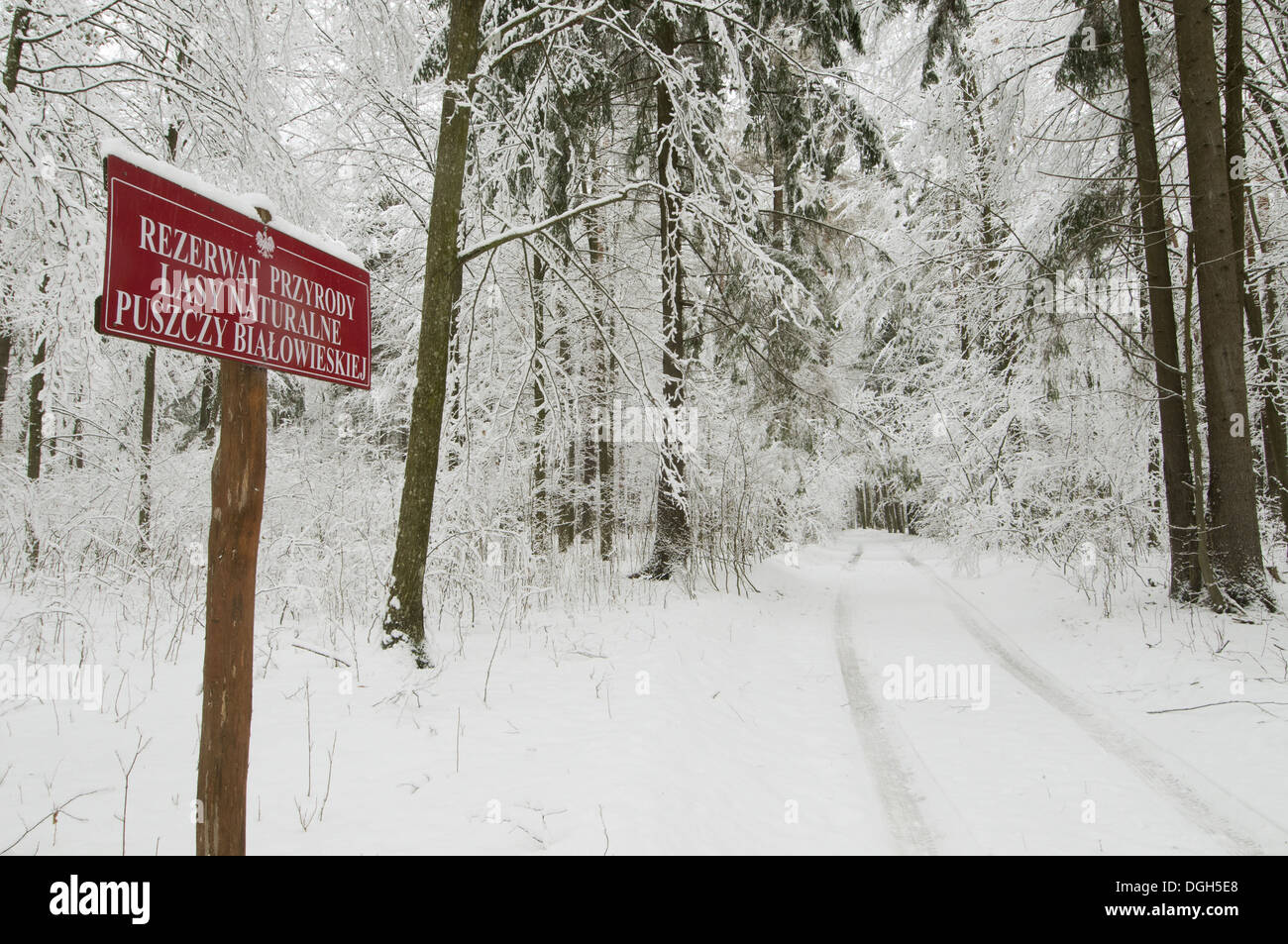 Bialowieza forest sign hi-res stock photography and images - Alamy