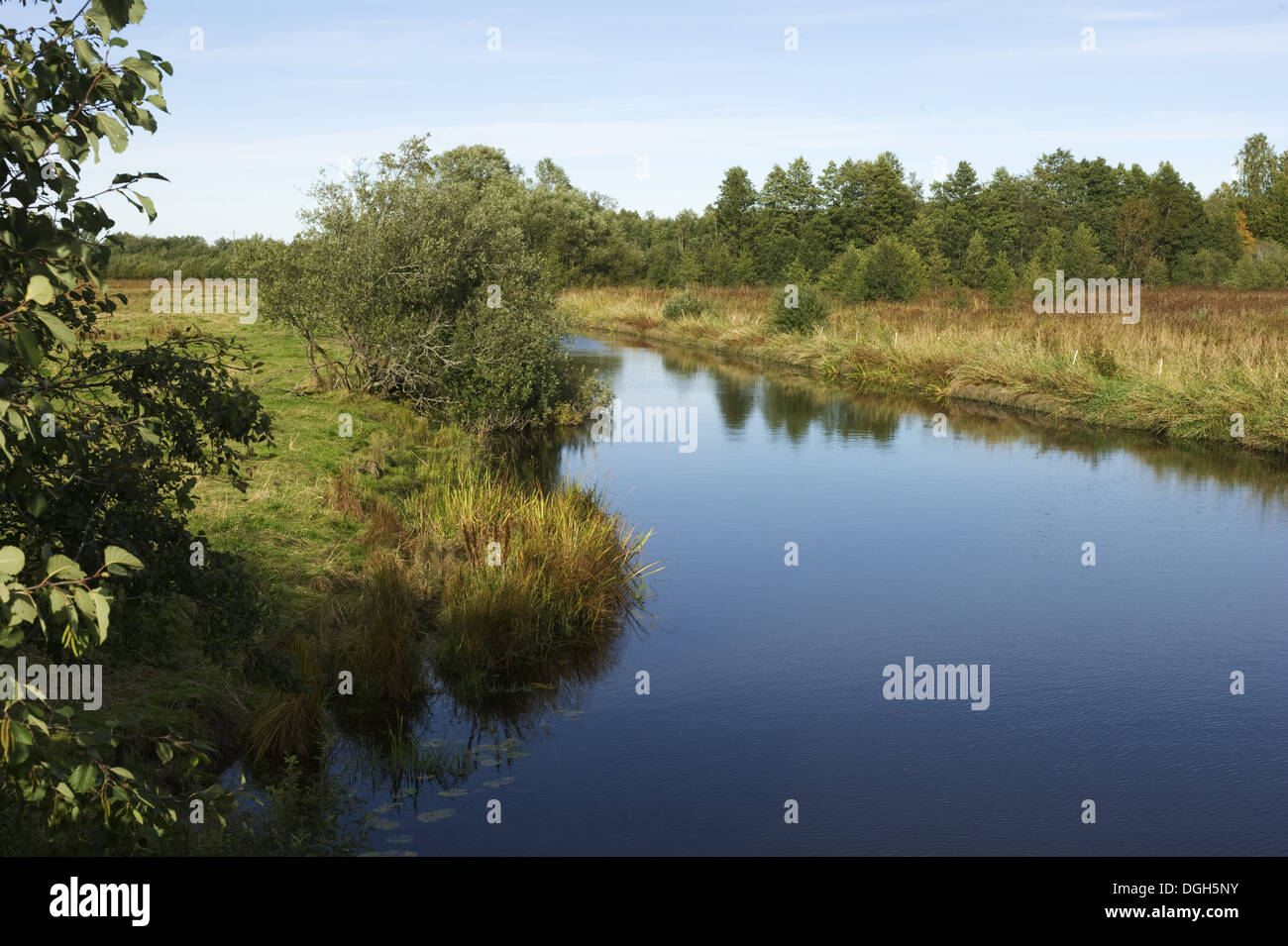 View of river and riverside habitat, Tamnar River, Tierp, Uppsala ...