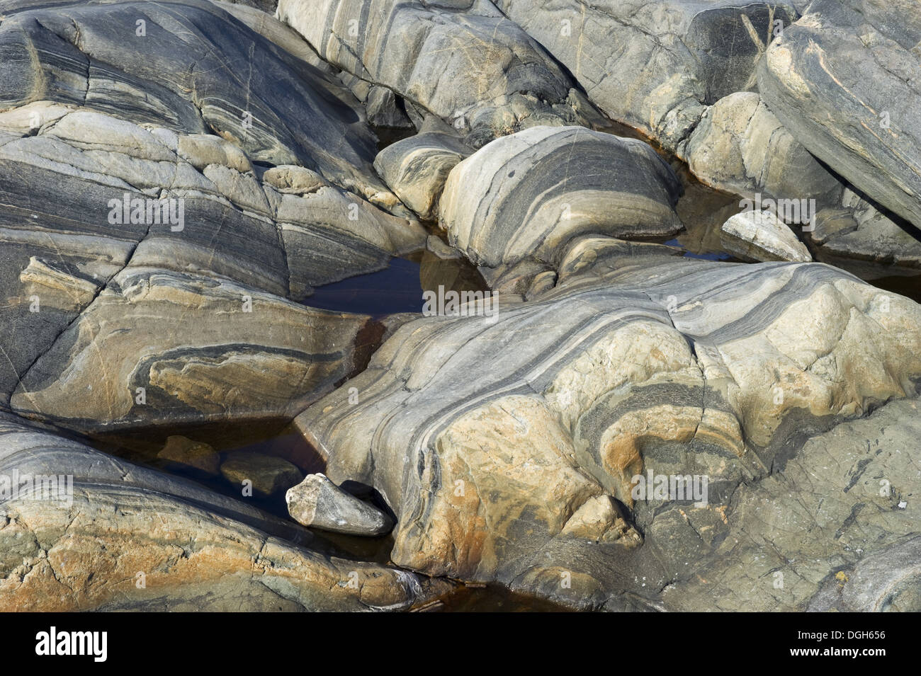Pools in coastal rock formations, Kallarberget, Baltic Sea, Sweden ...