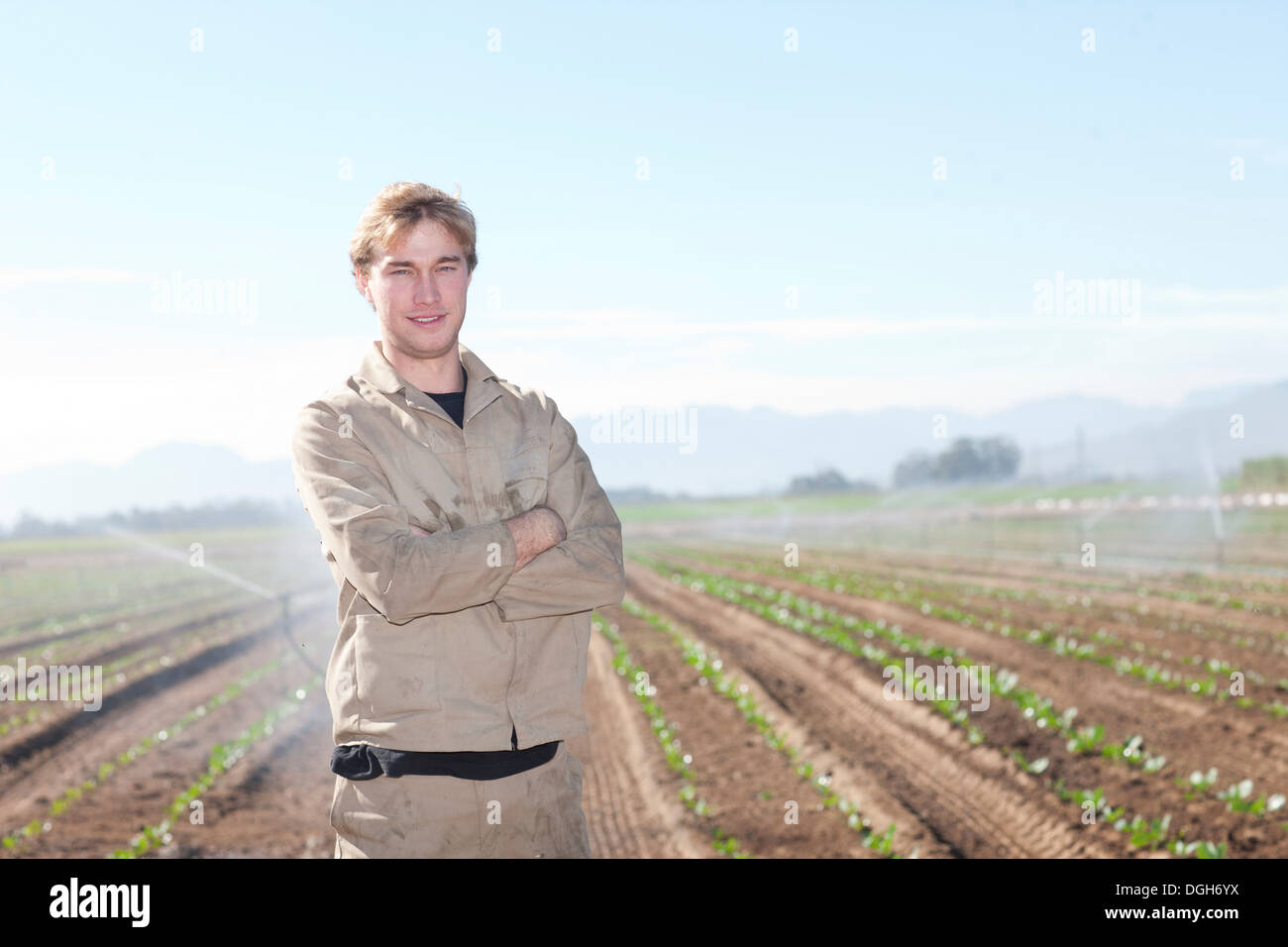 Potato crop south africa hi-res stock photography and images - Alamy