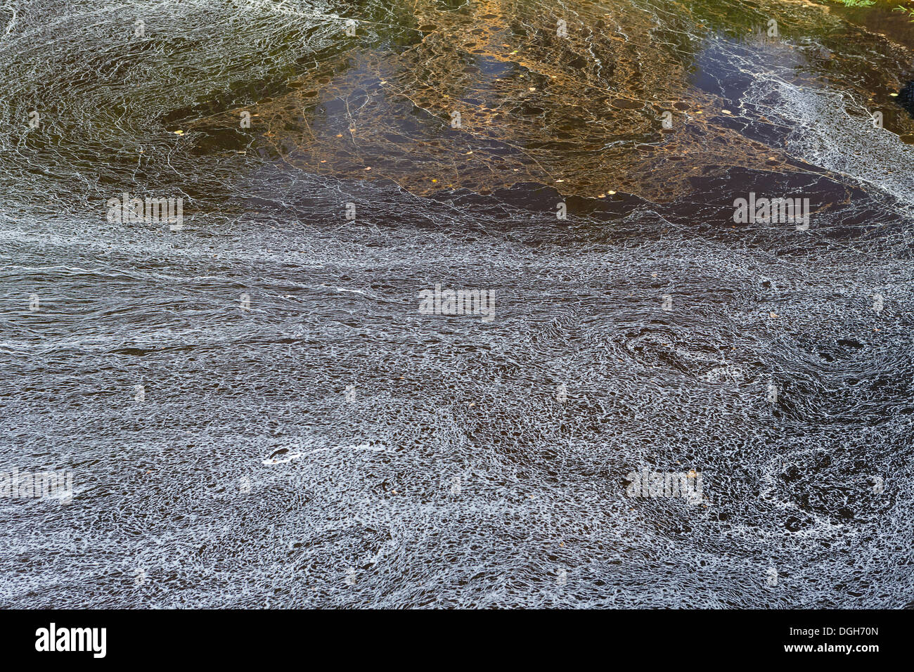 Pattern on water formed by foam and algae Stock Photo - Alamy