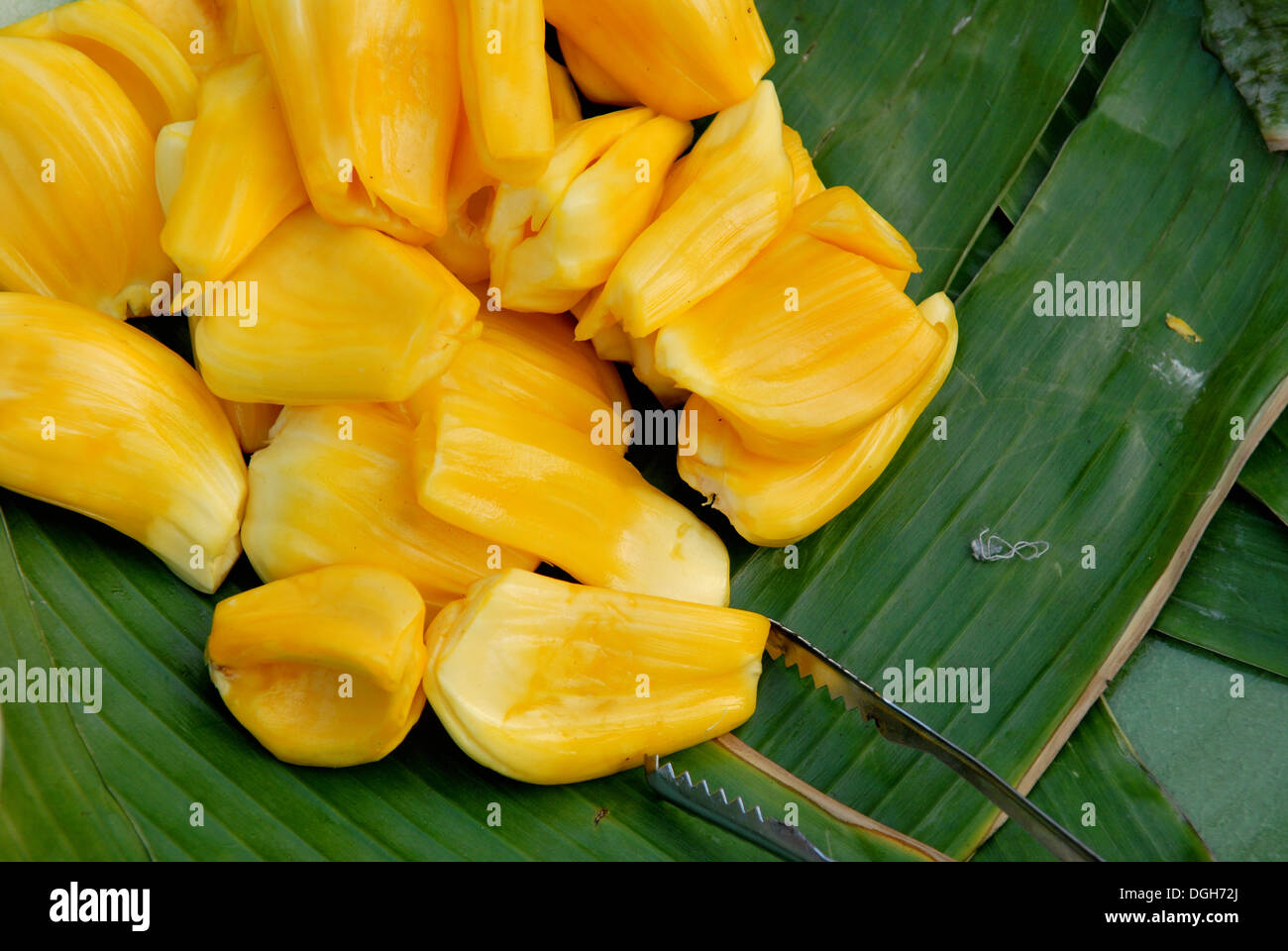 Fruits of Thailand - Jackfruit (Ka-noon Stock Photo - Alamy