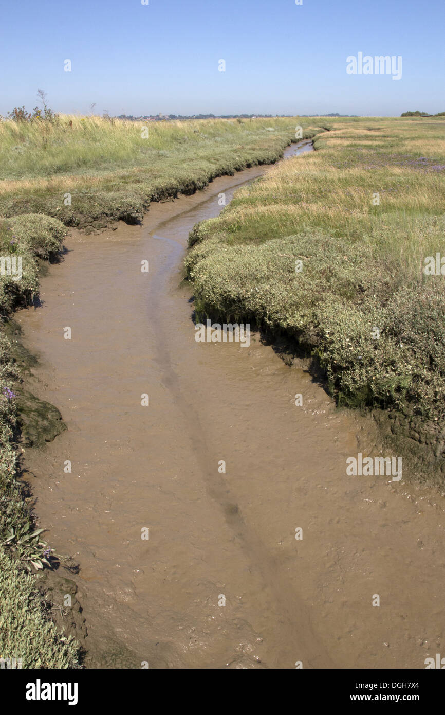 salt marsh drainage channel on Havergate Island, Suffolk Stock Photo ...