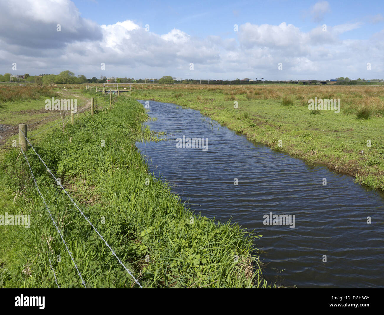 Freshwater Habitats Trust Uk High Resolution Stock Photography and ...