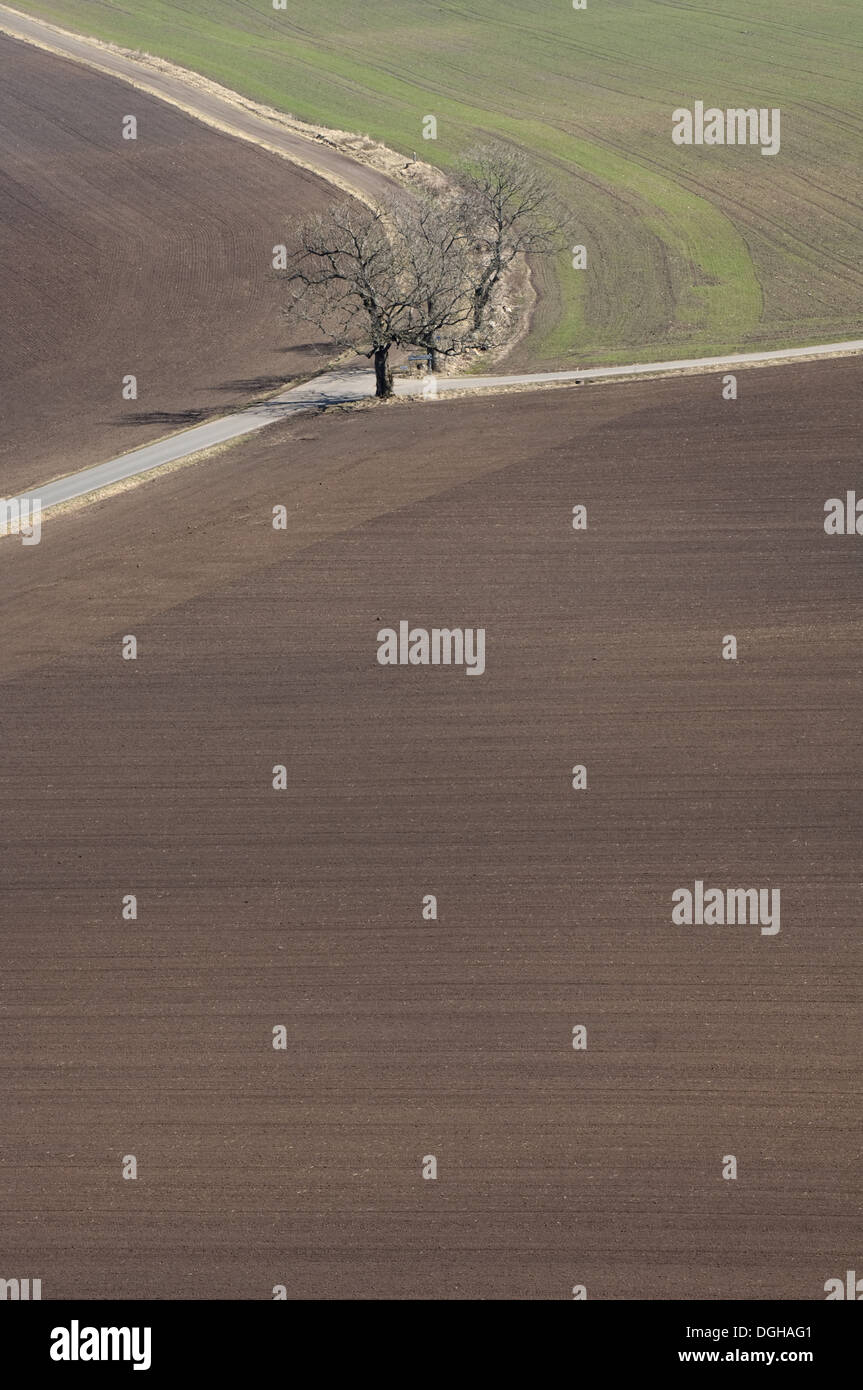 Sweden fields hi-res stock photography and images - Alamy