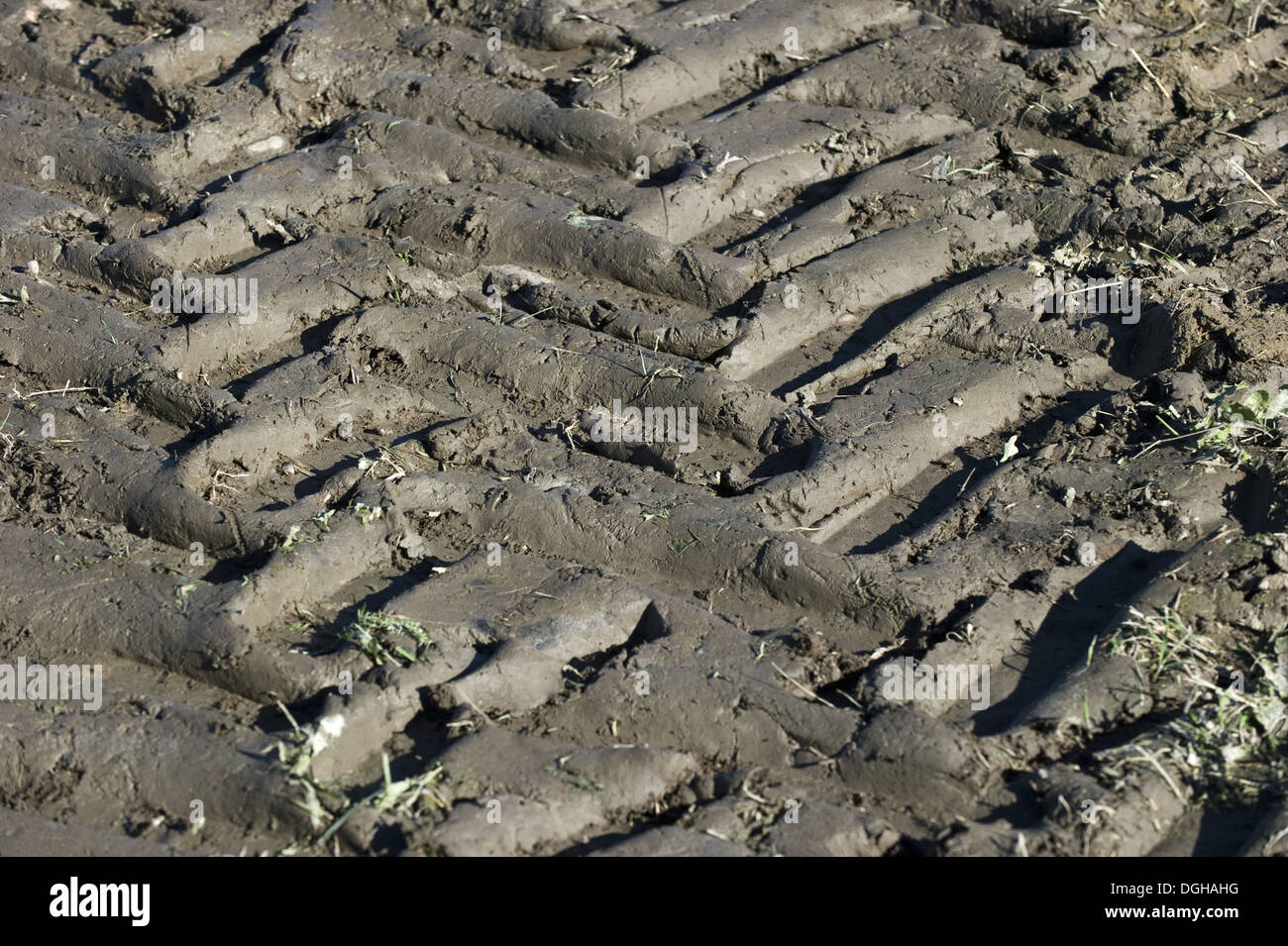 Tractor tyre tracks in muddy field, Sweden, september Stock Photo - Alamy