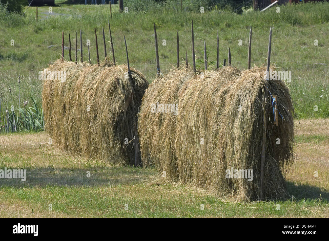 Hay drying racks hi-res stock photography and images - Alamy