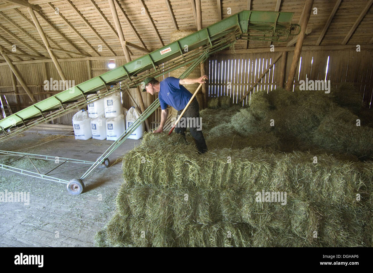 Small bale elevator hi-res stock photography and images - Alamy