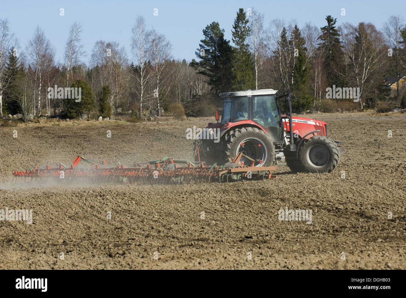 Massey Ferguson tractor pulling harrows, harrowing field, Sweden ...