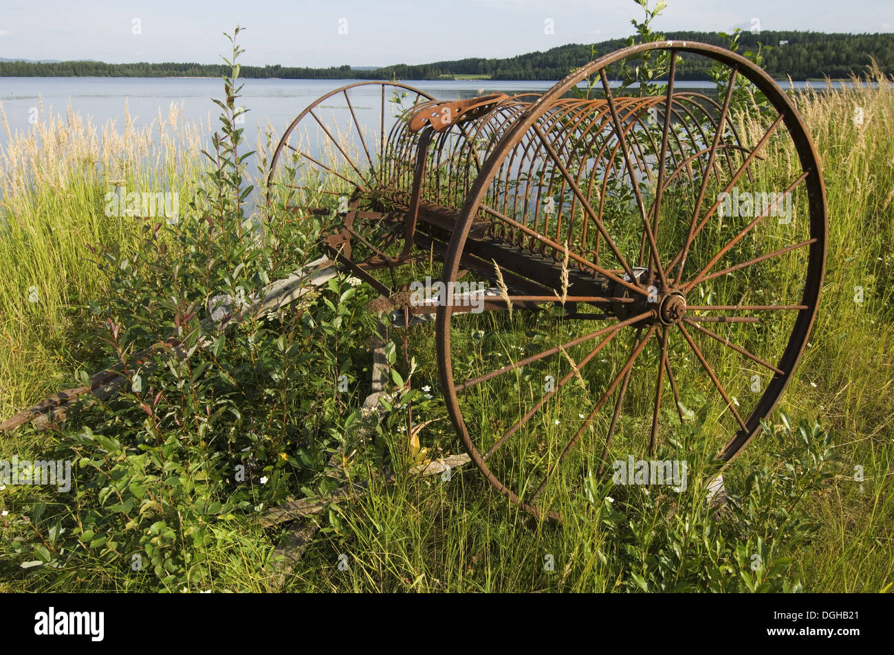 Rusty old-fashioned horse-drawn hay rake, at edge of water, Sweden ...