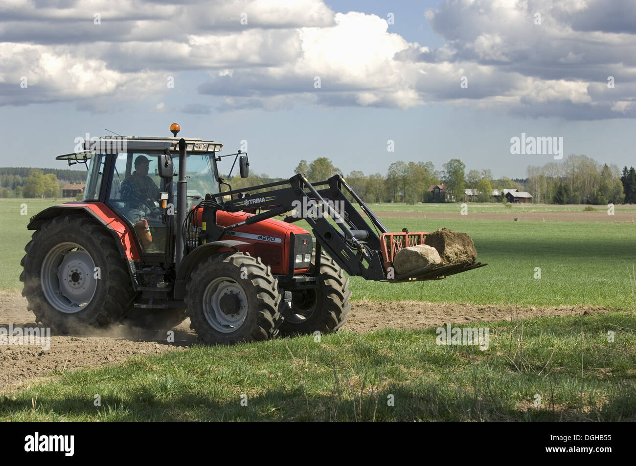 Massey Ferguson 6290 tractor with front loader forks, removing large ...