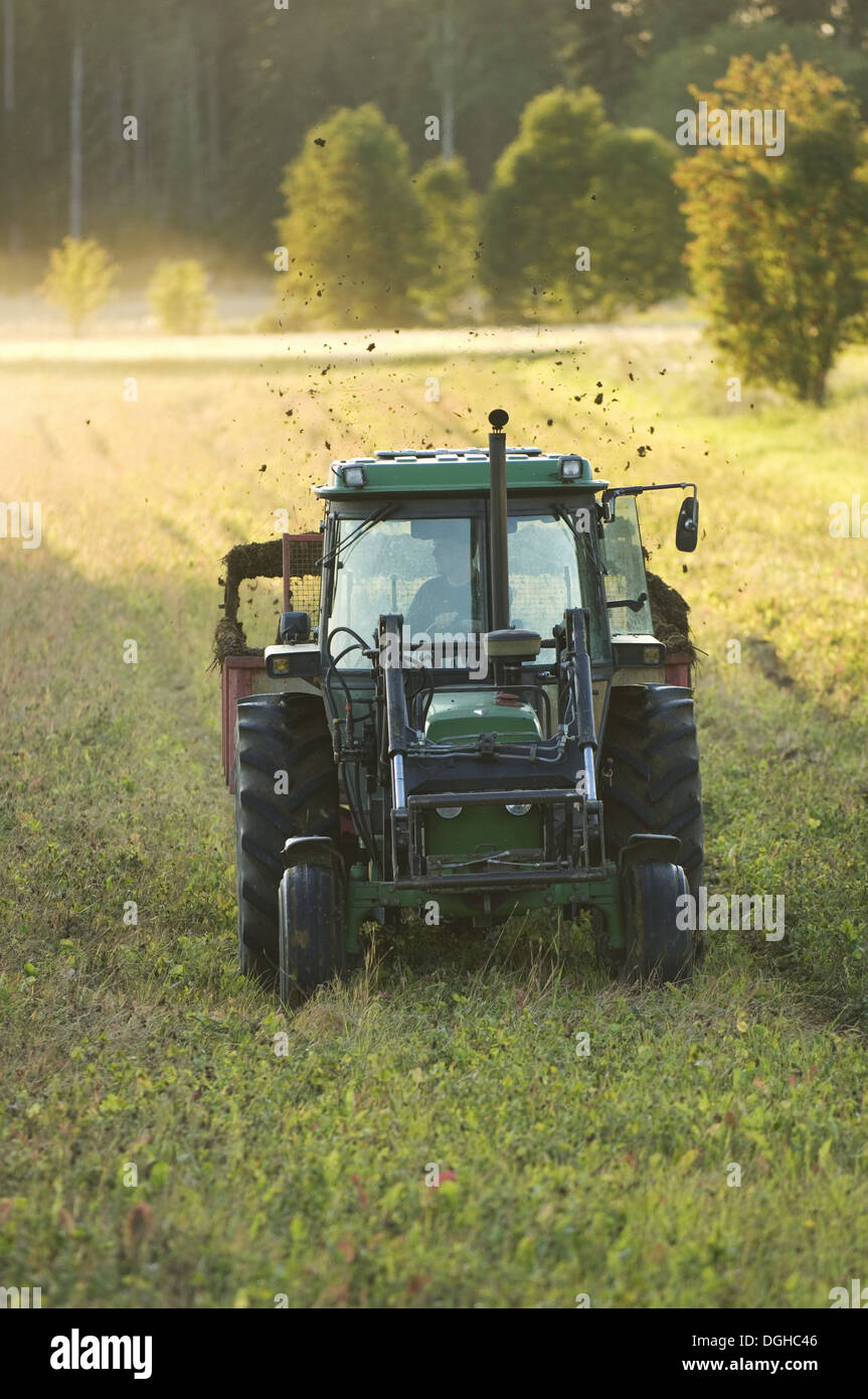 John Deere tractor pulling muck spreader, spreading muck on field in ...