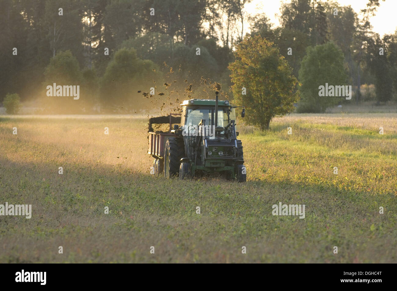 John Deere tractor pulling muck spreader, spreading muck on field in ...